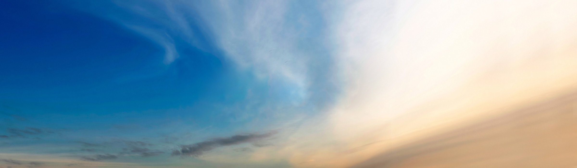 ingogo | Taxis done better. For Passengers, Drivers and Businesses