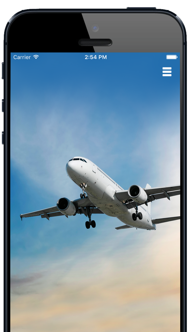 ingogo | Taxis done better. For Passengers, Drivers and Businesses